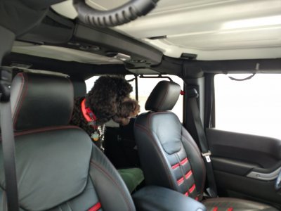 Dog "Mods" | RamForum.com | Dodge Ram Forum for Truck Owners & Enthusiasts