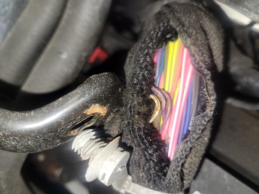 Where can I find circuit F856 | RamForum.com | Dodge Ram Forum for ...